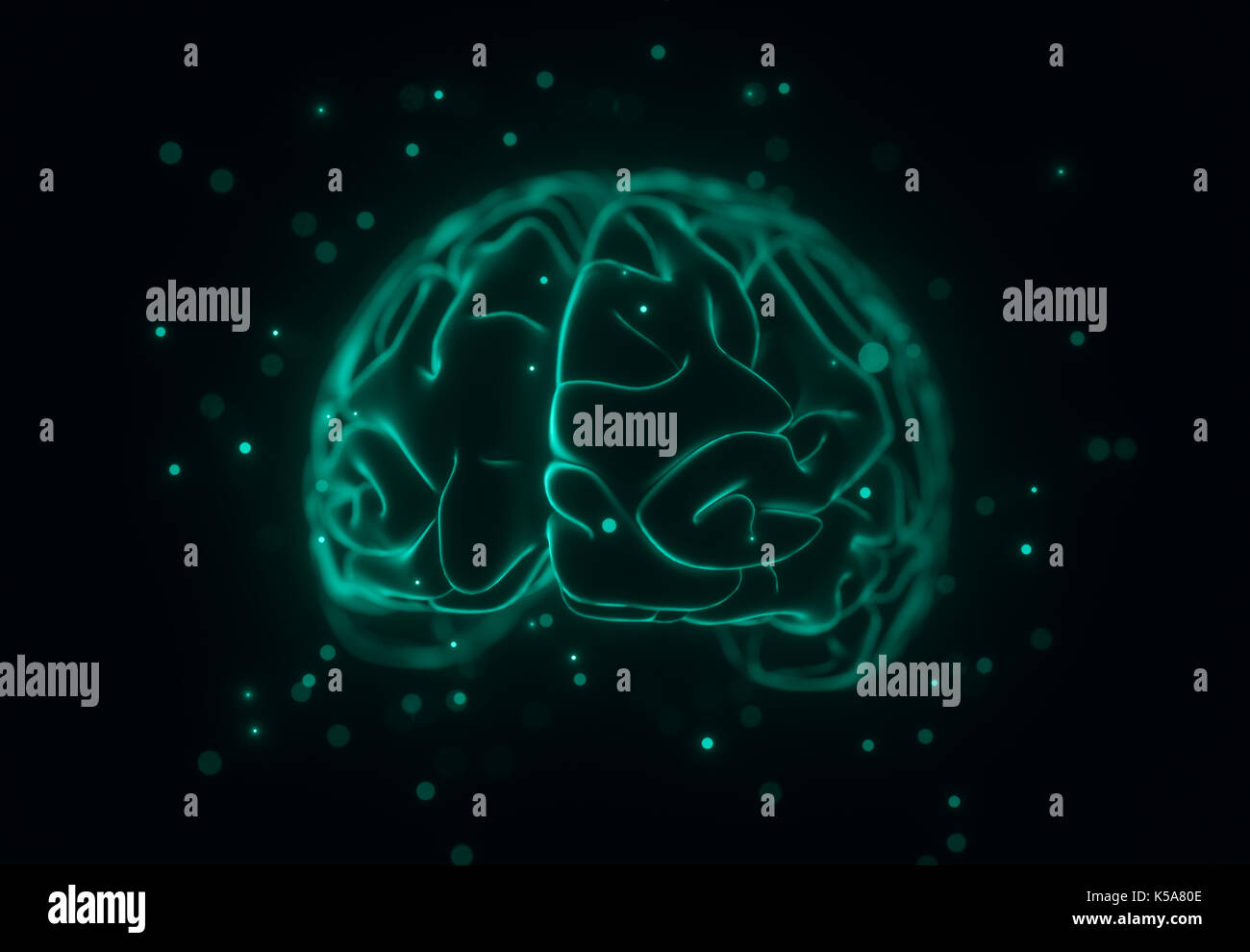 Human brain hi-res stock photography and images - Alamy