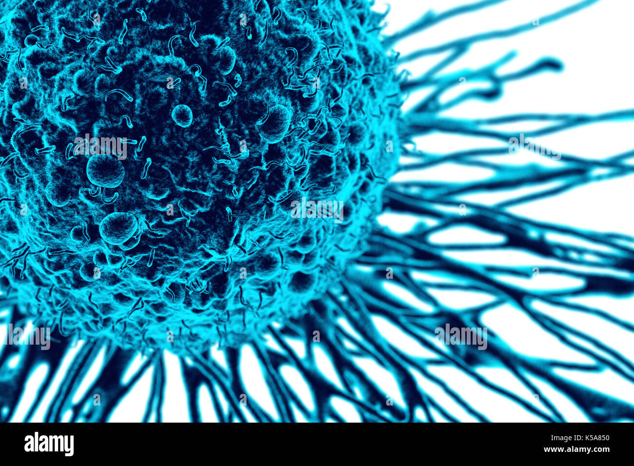 Cancer cell, illustration Stock Photo - Alamy