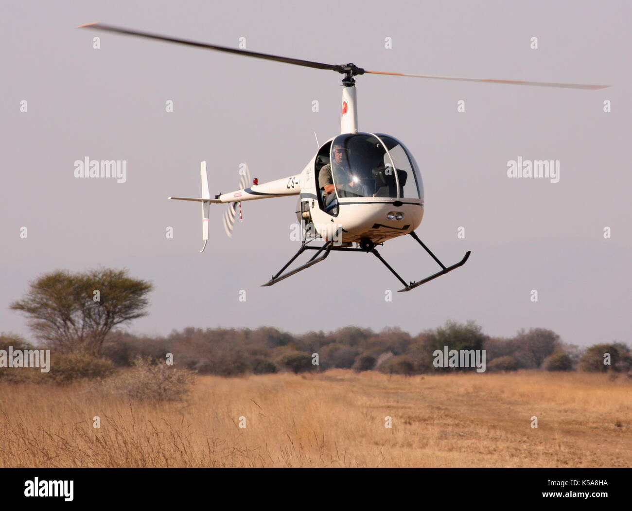 Game Capture helicopter landing in Limpopo Province, South Africa Stock ...