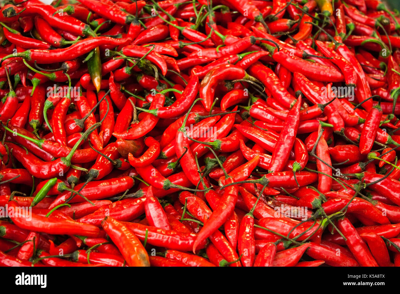 Fresh red hot chilli peppers pattern background photographed from the ...