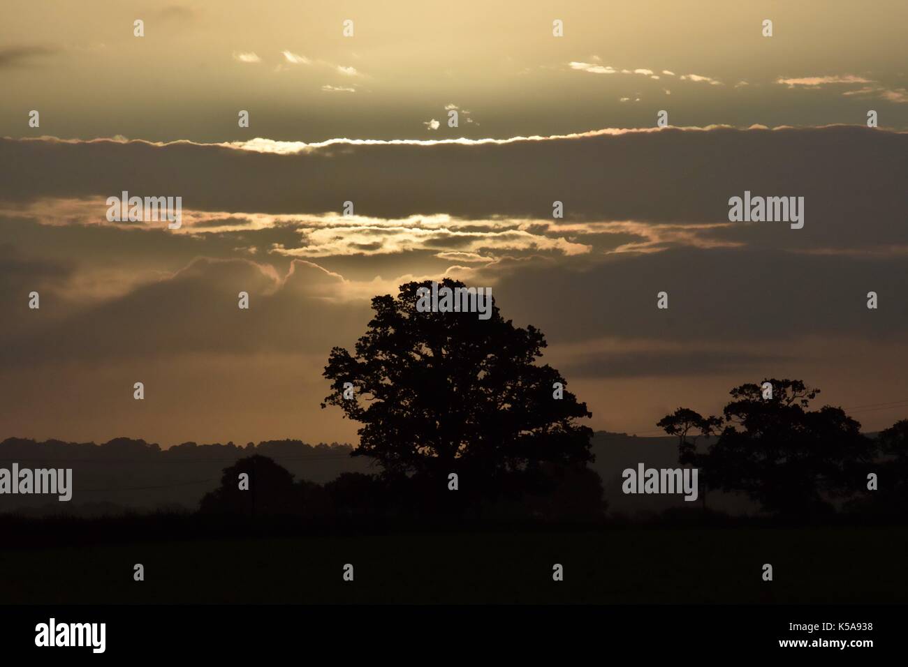 Mudford somerset hi-res stock photography and images - Alamy