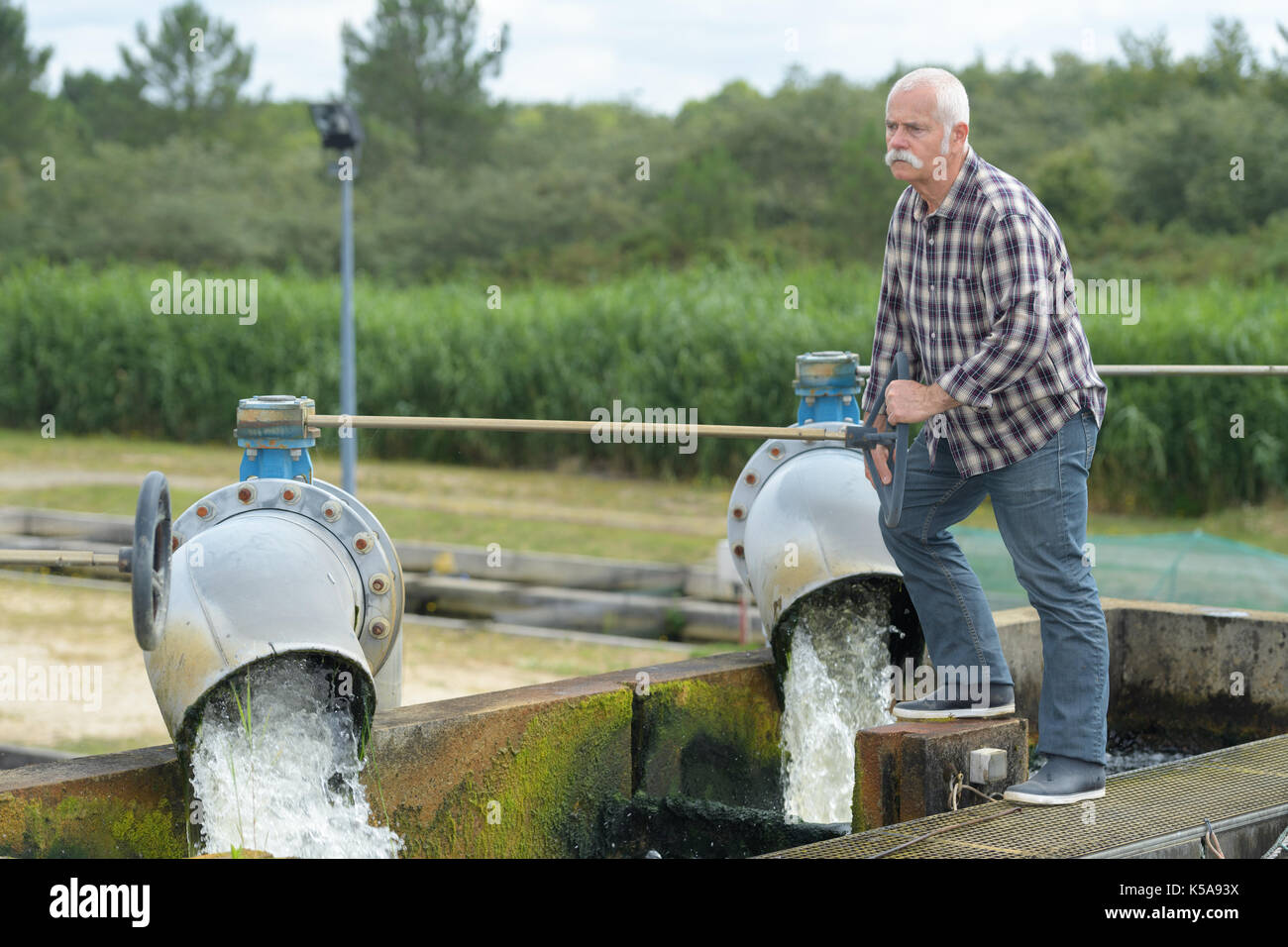 senior engineer controlling water treatment plant unit Stock Photo - Alamy