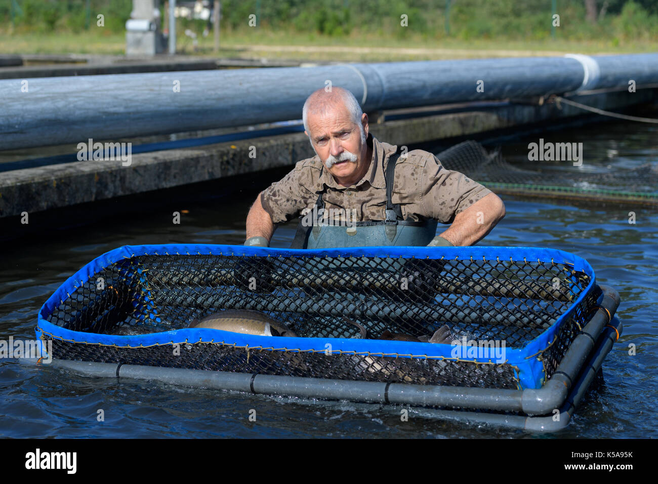 Man working with fish hi-res stock photography and images - Alamy