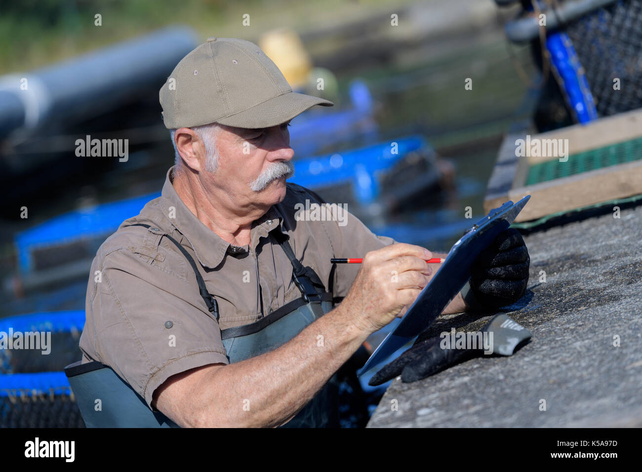 Freshwater fish stocks hi-res stock photography and images - Alamy