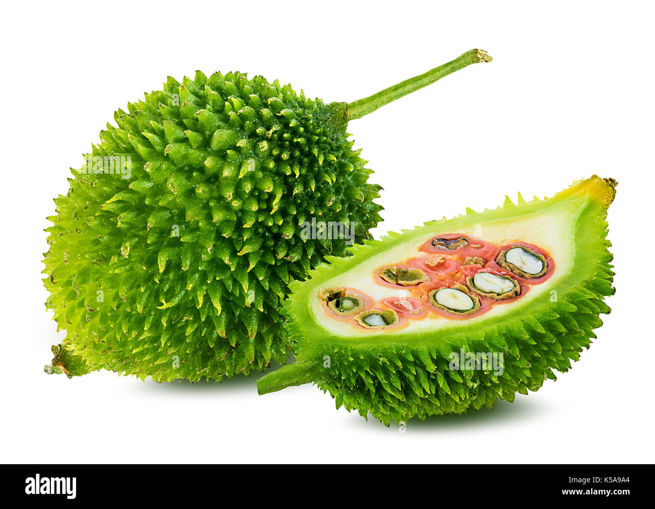 Momordica (Thumba Karawila) with clipping path Stock Photo - Alamy