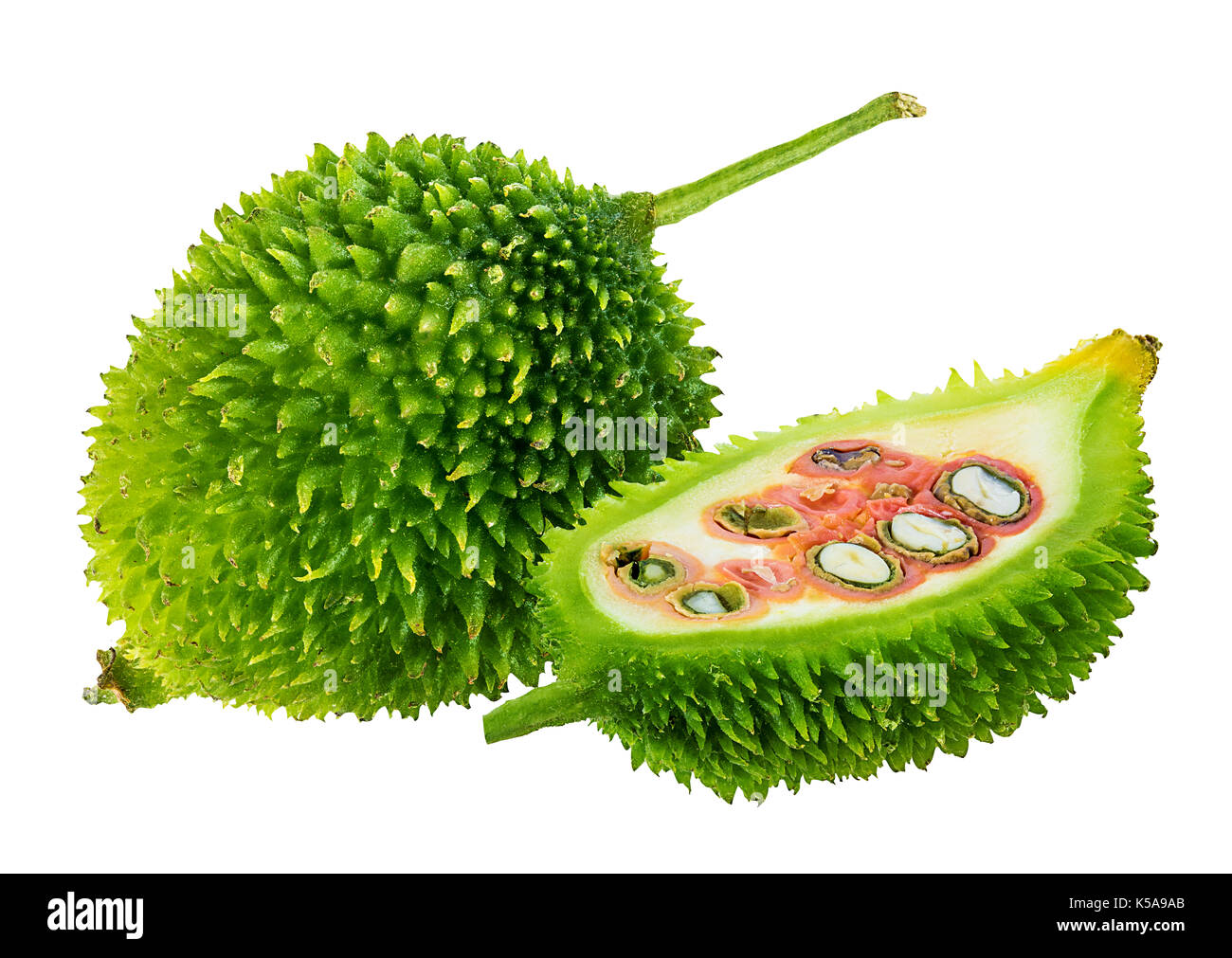 Thumba hi-res stock photography and images - Alamy