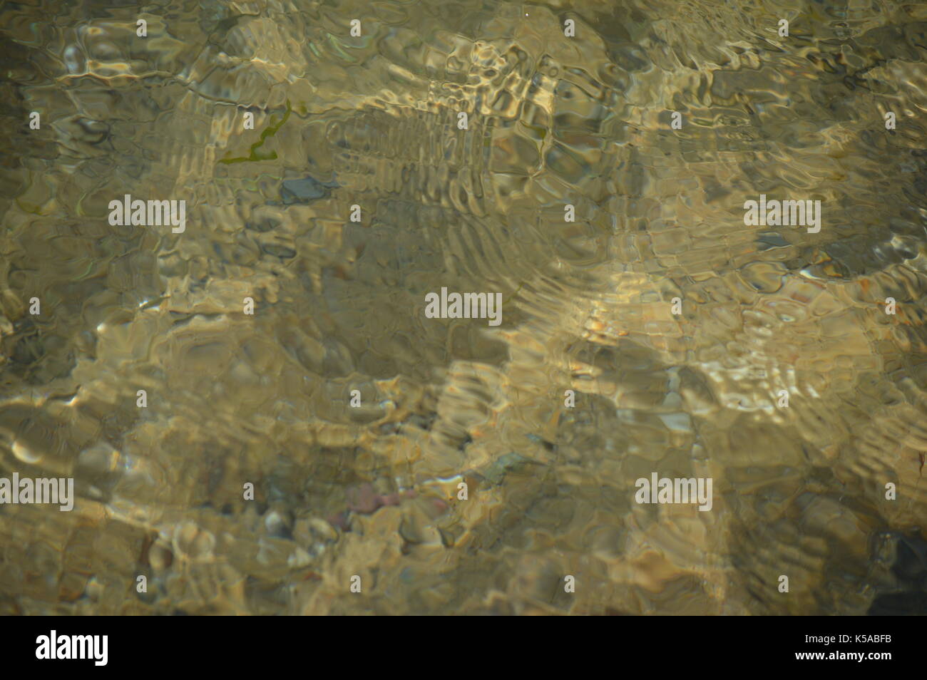 Minnows ocean hi-res stock photography and images - Alamy