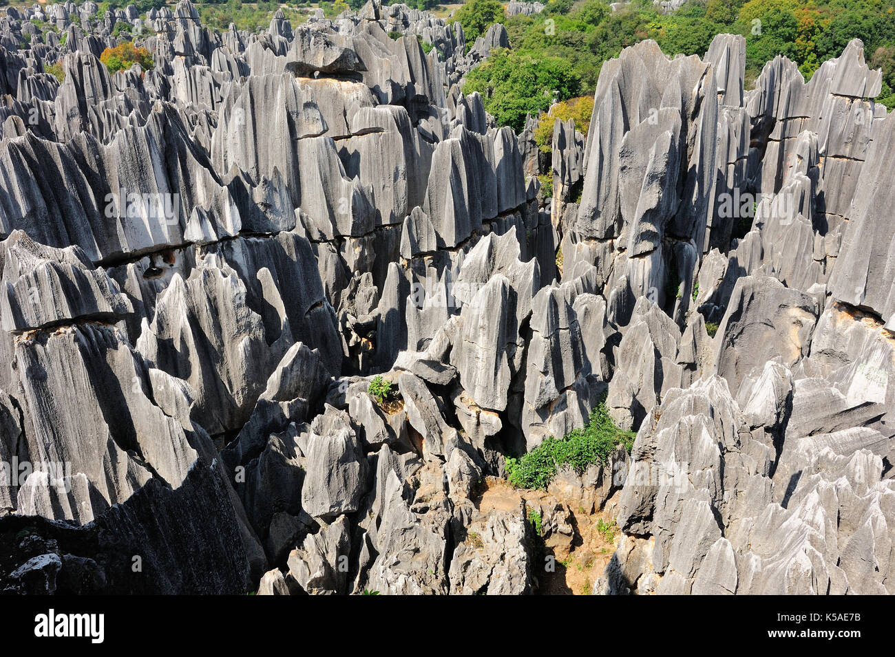 Stone Forrest Park scenery in Kunming,China Stock Photo - Alamy