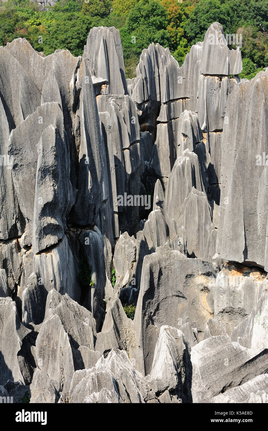 Stone Forrest Park scenery in Kunming,China Stock Photo - Alamy