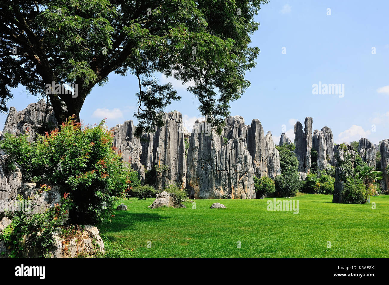 Stone Forrest Park scenery in Kunming,China Stock Photo - Alamy