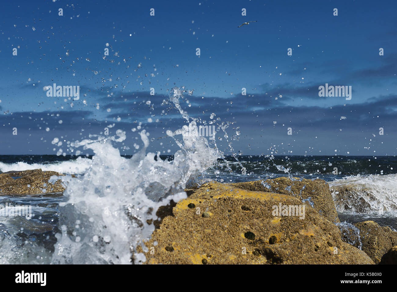 Souter beach & Coast, Whitburn, Sunderland, Tyne & Wear Stock Photo - Alamy