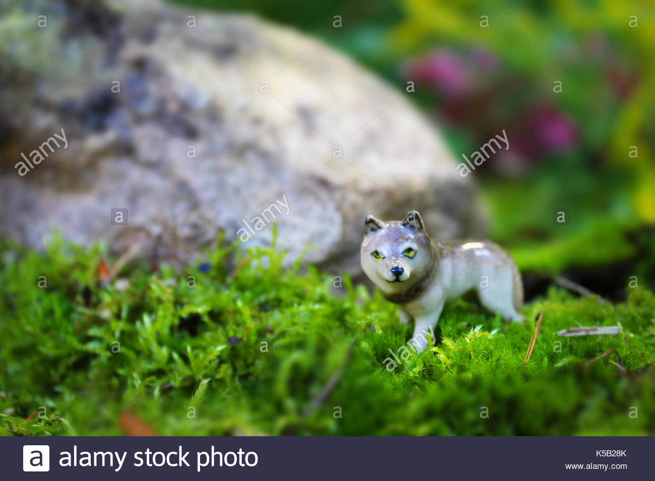 Star Wolf High Resolution Stock Photography and Images - Alamy