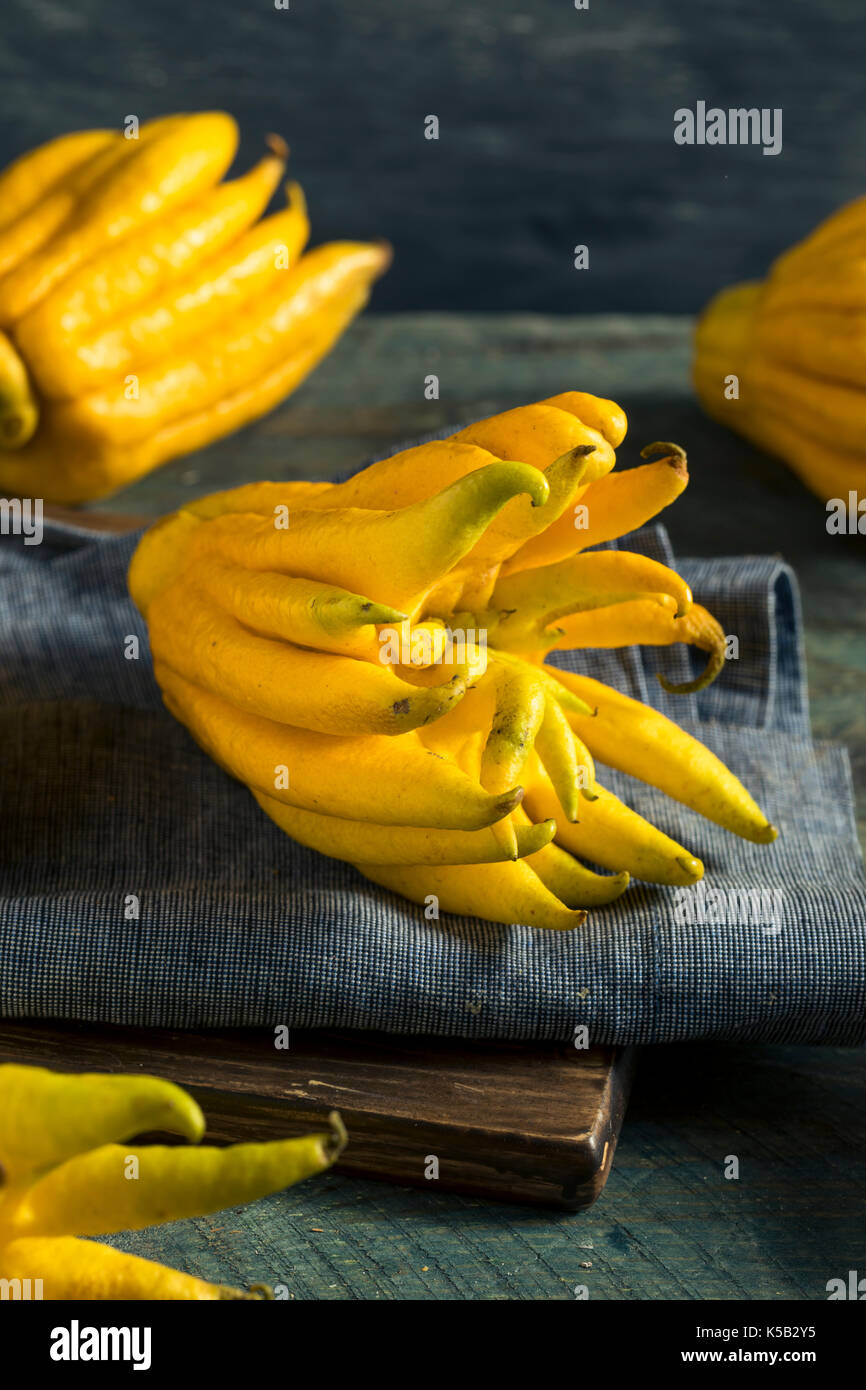 Yellow Organic Buddhas Hand Citrus Fruit with Fingers Stock Photo - Alamy