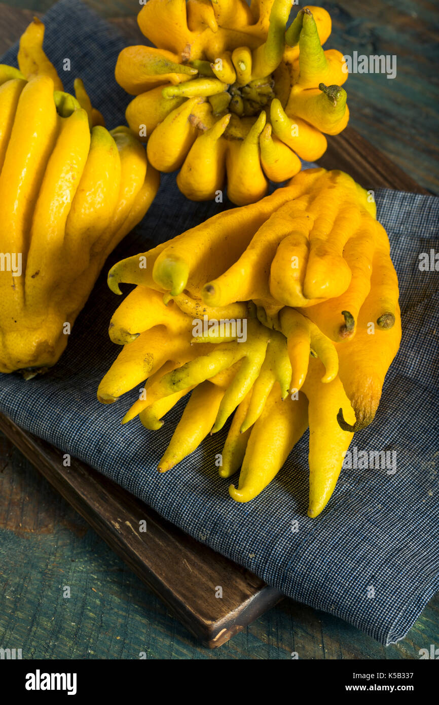 Yellow Organic Buddhas Hand Citrus Fruit with Fingers Stock Photo - Alamy