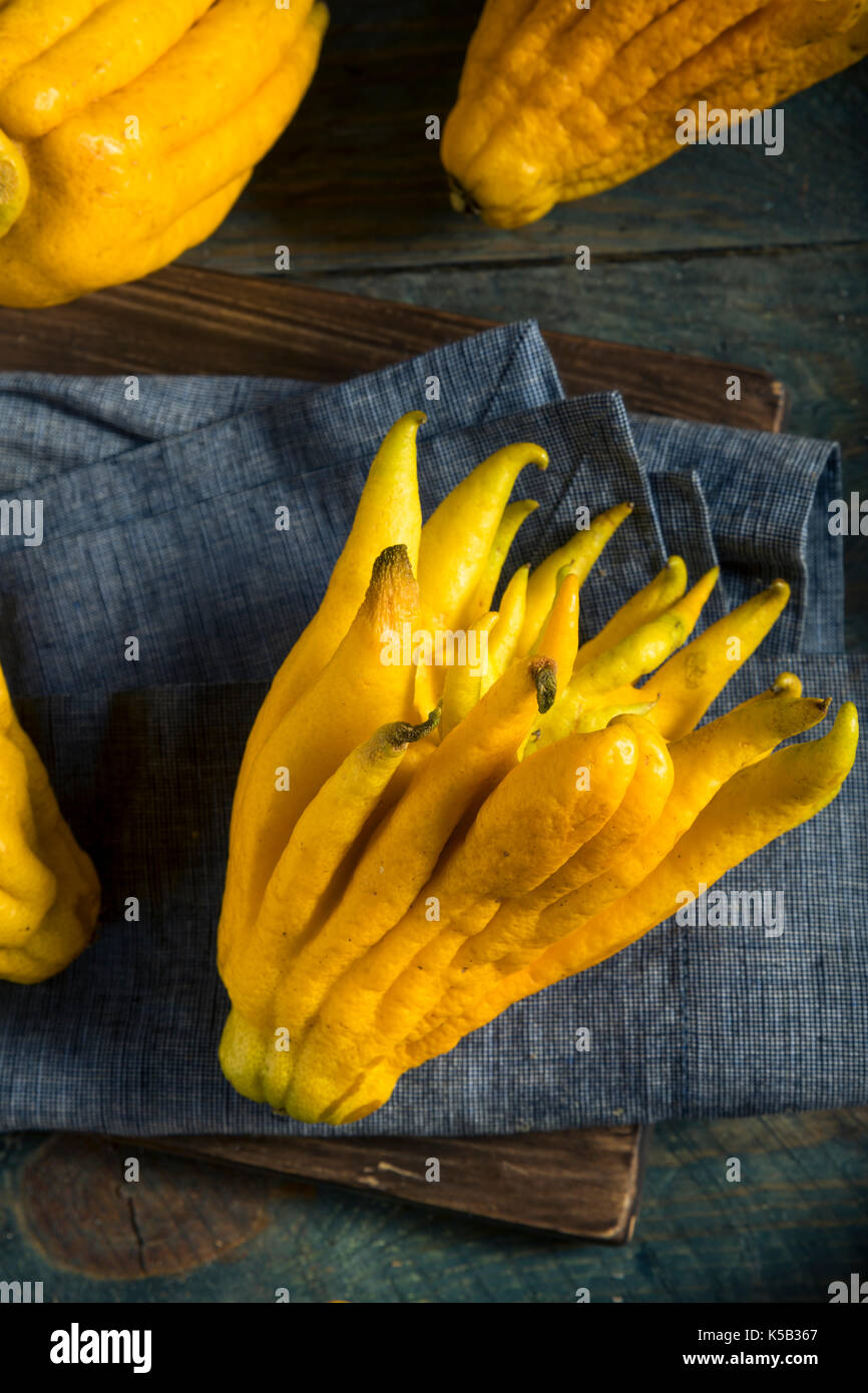 Yellow Organic Buddhas Hand Citrus Fruit with Fingers Stock Photo - Alamy