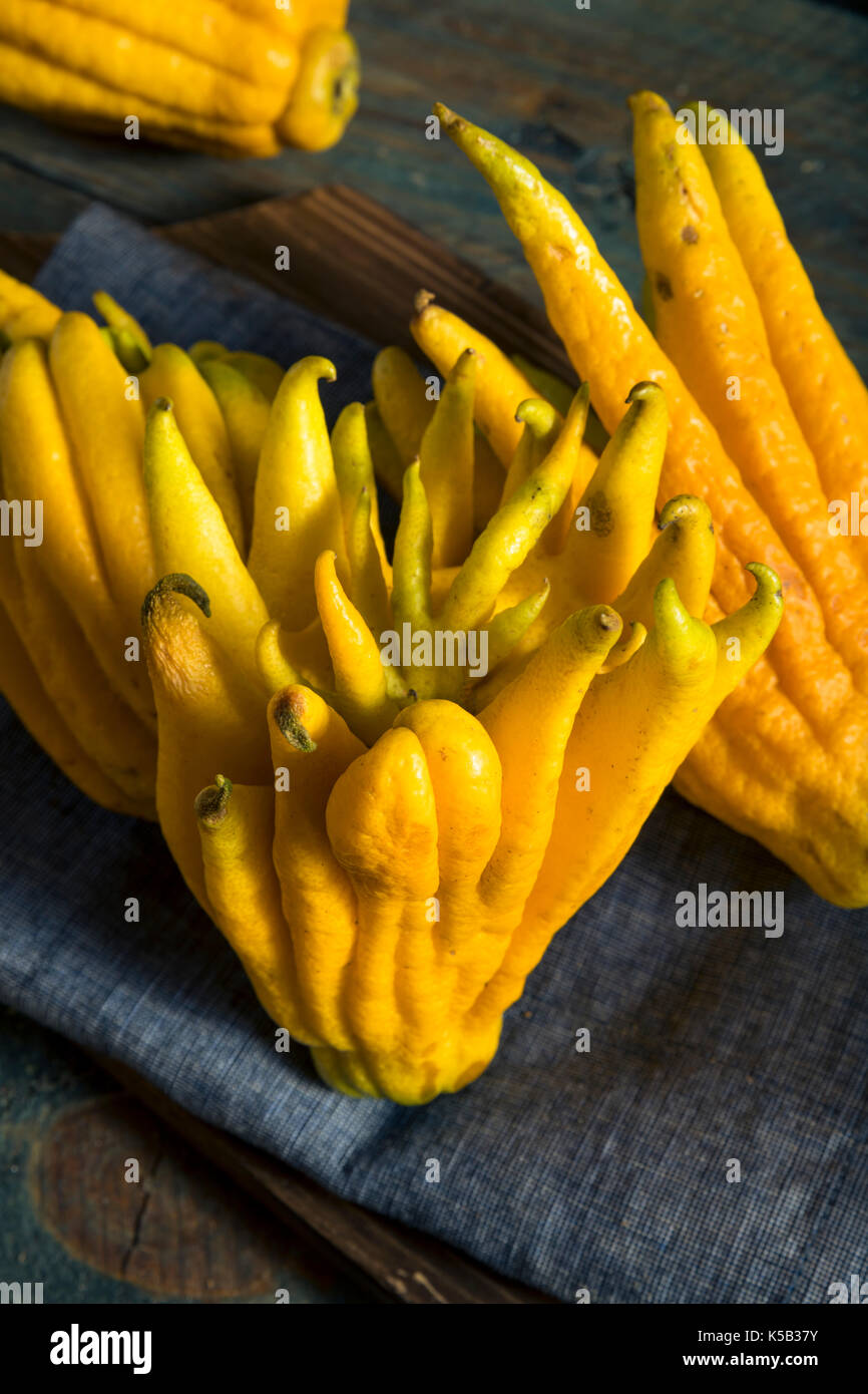 Yellow Organic Buddhas Hand Citrus Fruit with Fingers Stock Photo - Alamy