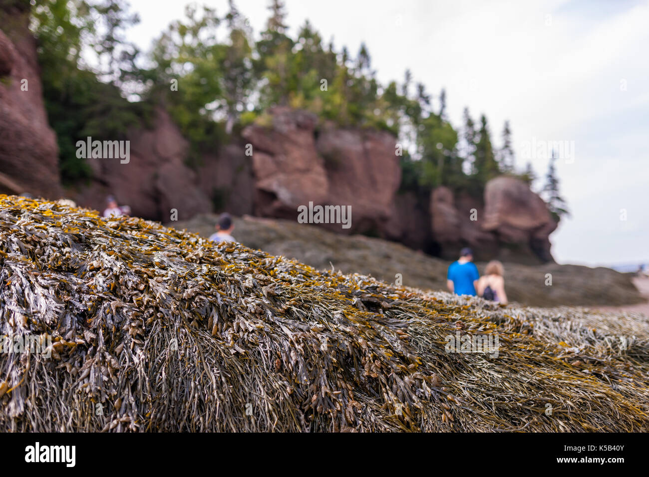 Tidal erosion hi-res stock photography and images - Alamy