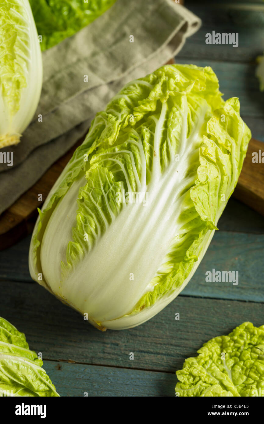 Napa cabbage garden hi-res stock photography and images - Alamy