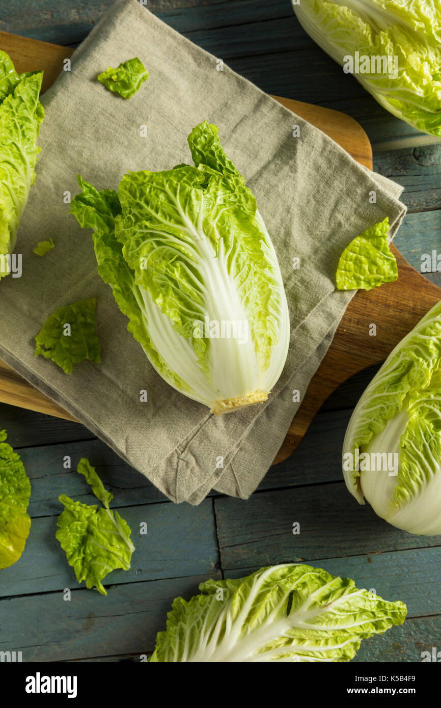 Napa cabbage garden hi-res stock photography and images - Alamy