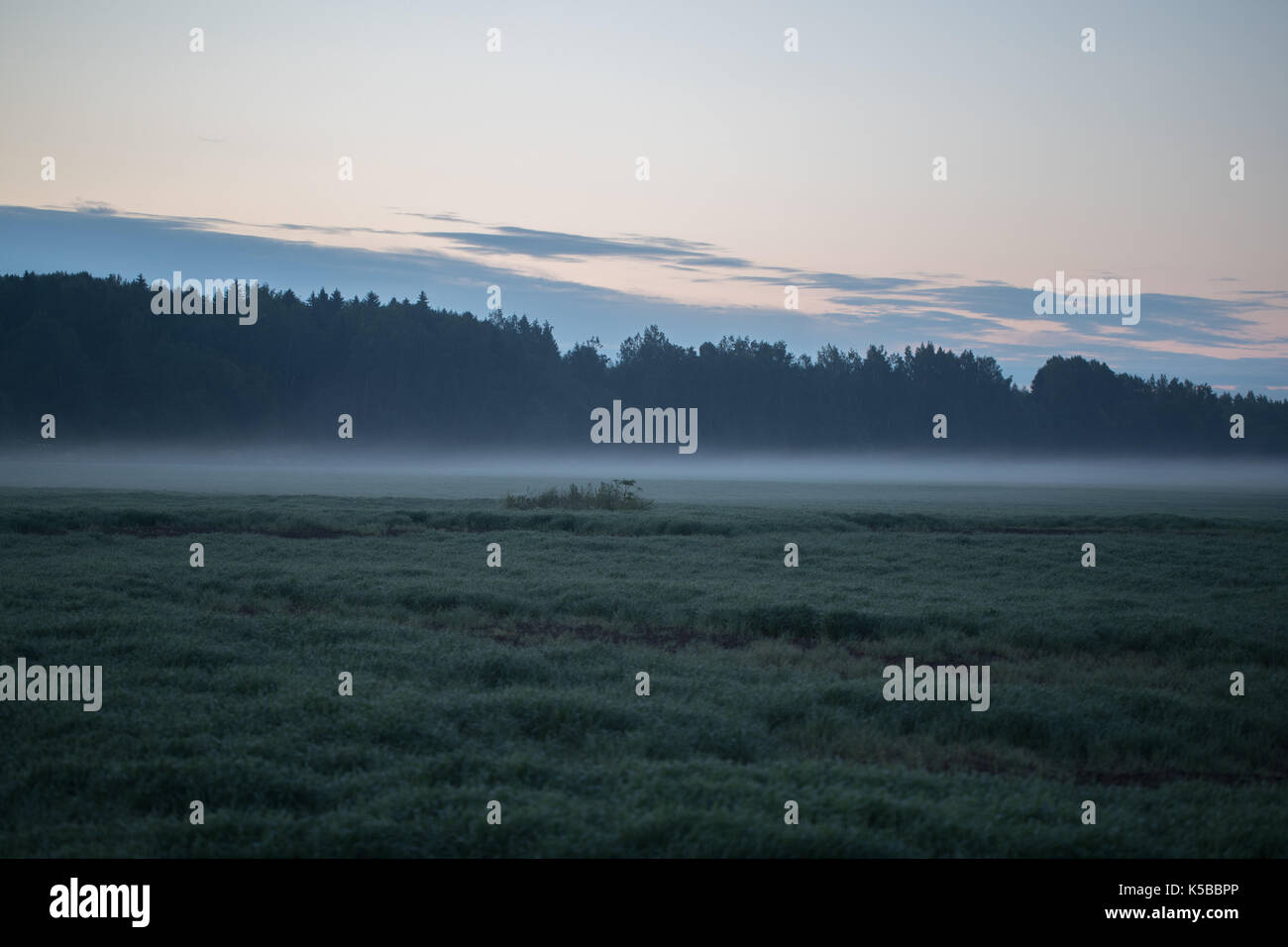 Cottage background hi-res stock photography and images - Alamy