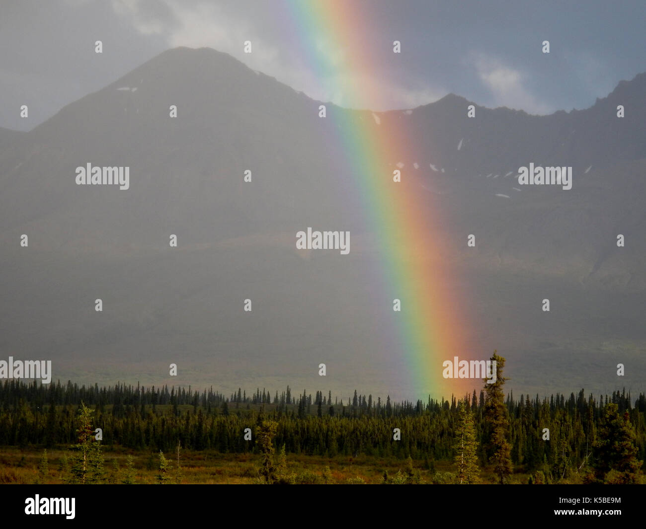 Rainbow with trees hi-res stock photography and images - Alamy