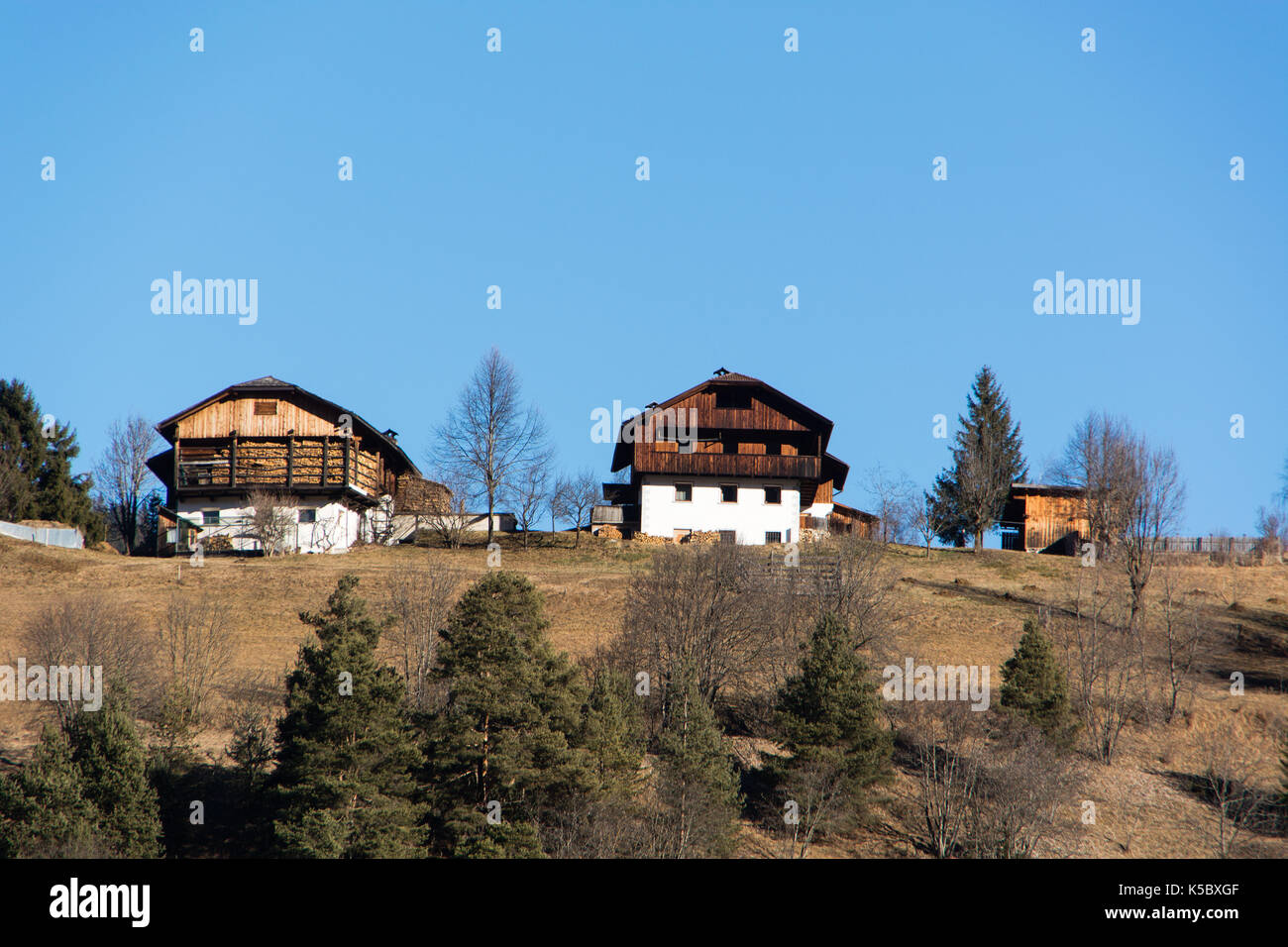 traditional farm houses in the alps Stock Photo - Alamy