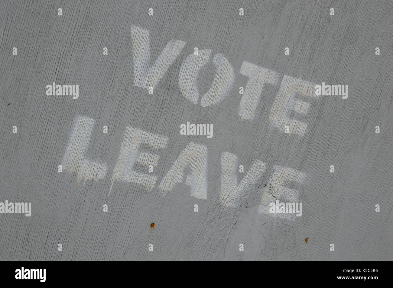 Vote Leave stencil graffiti, UK referendum on leaving the European ...