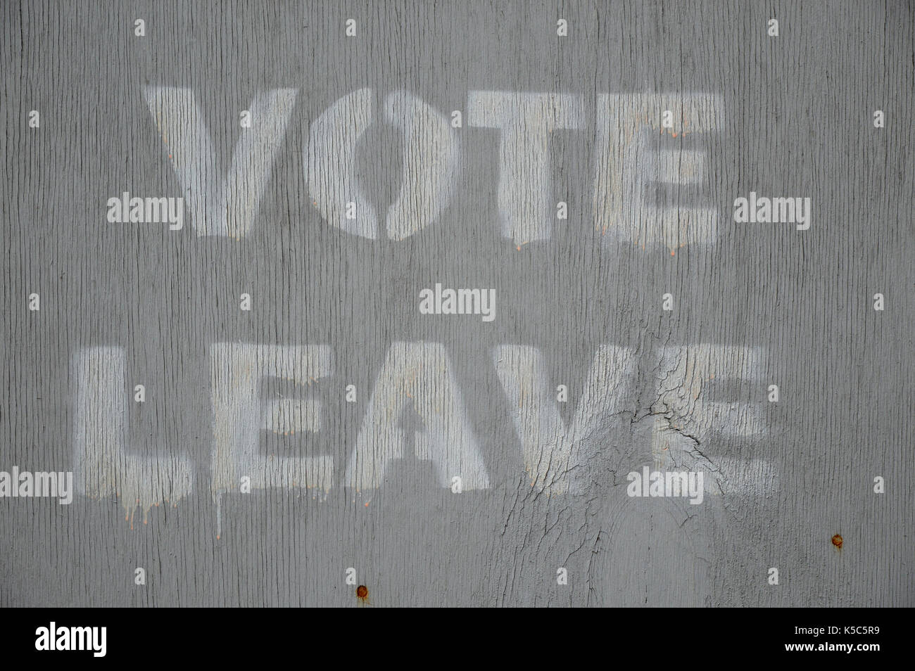 Vote Leave stencil graffiti, UK referendum on leaving the European ...