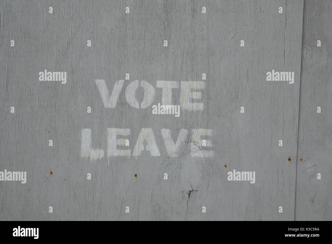 Vote Leave stencil graffiti, UK referendum on leaving the European ...