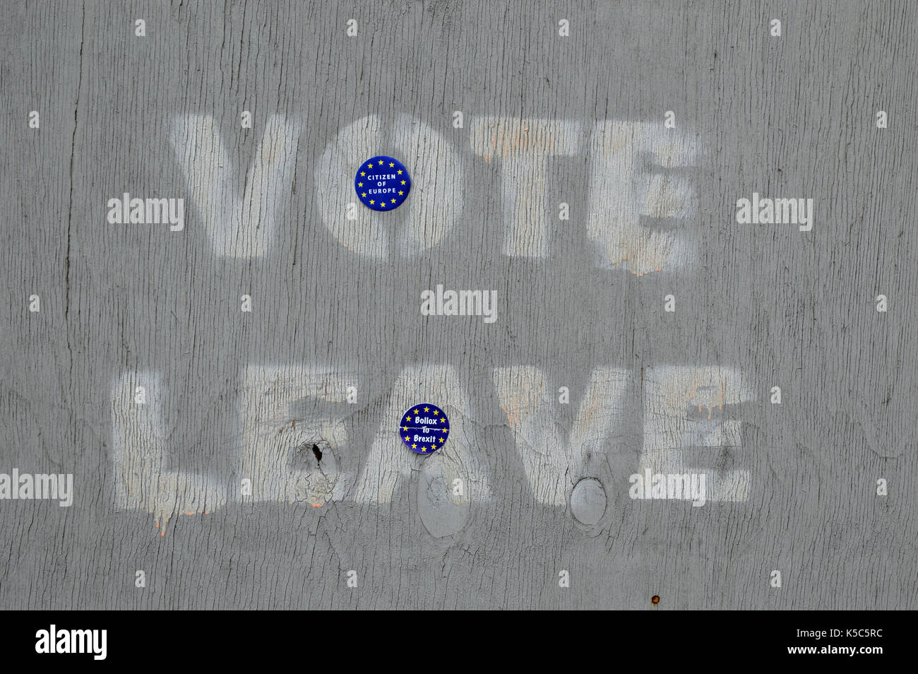 Vote Leave stencil graffiti, UK referendum on leaving the European ...