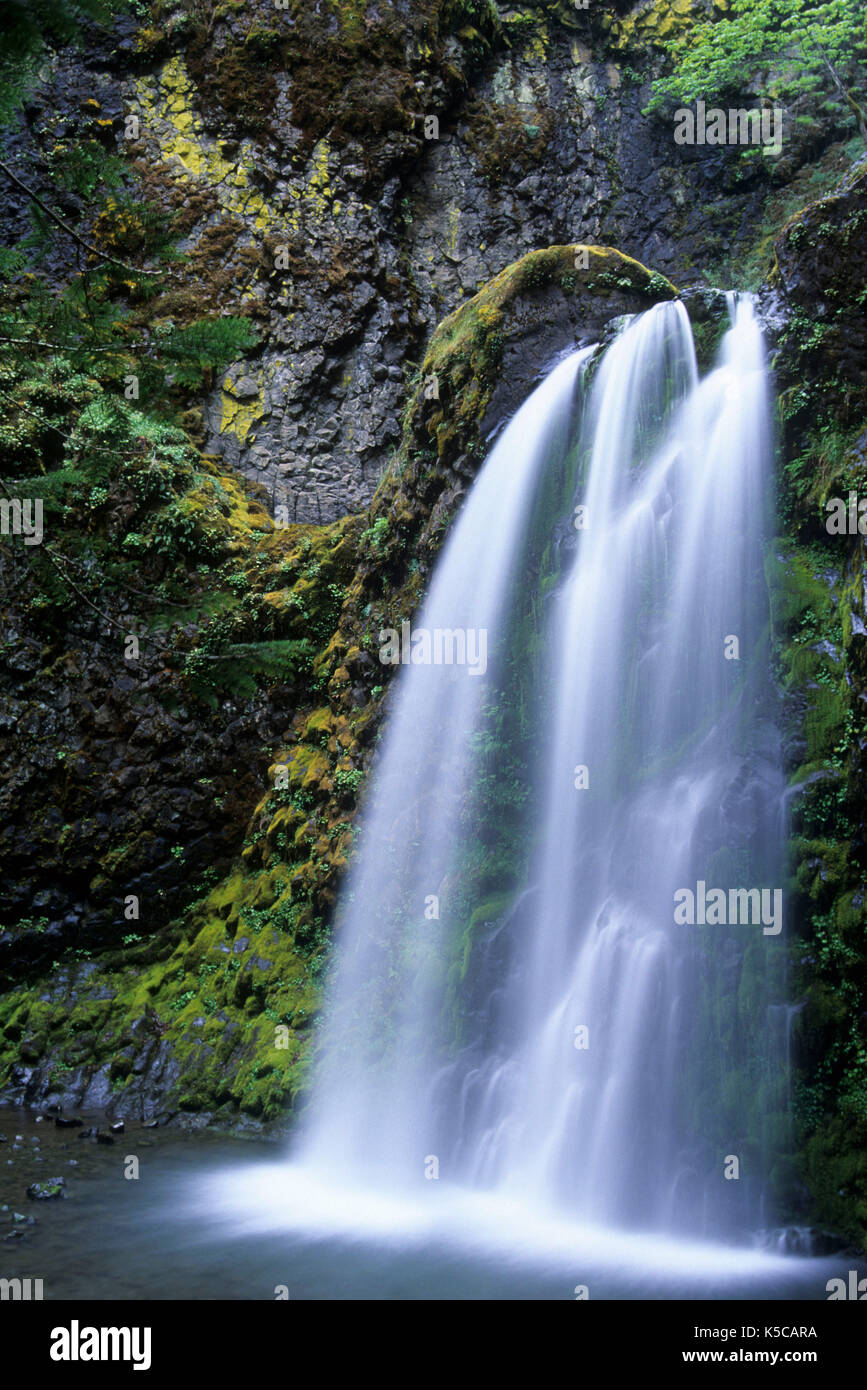 Fall Creek Falls on Fall Creek National Recreation Trail, Rogue-Umpqua ...