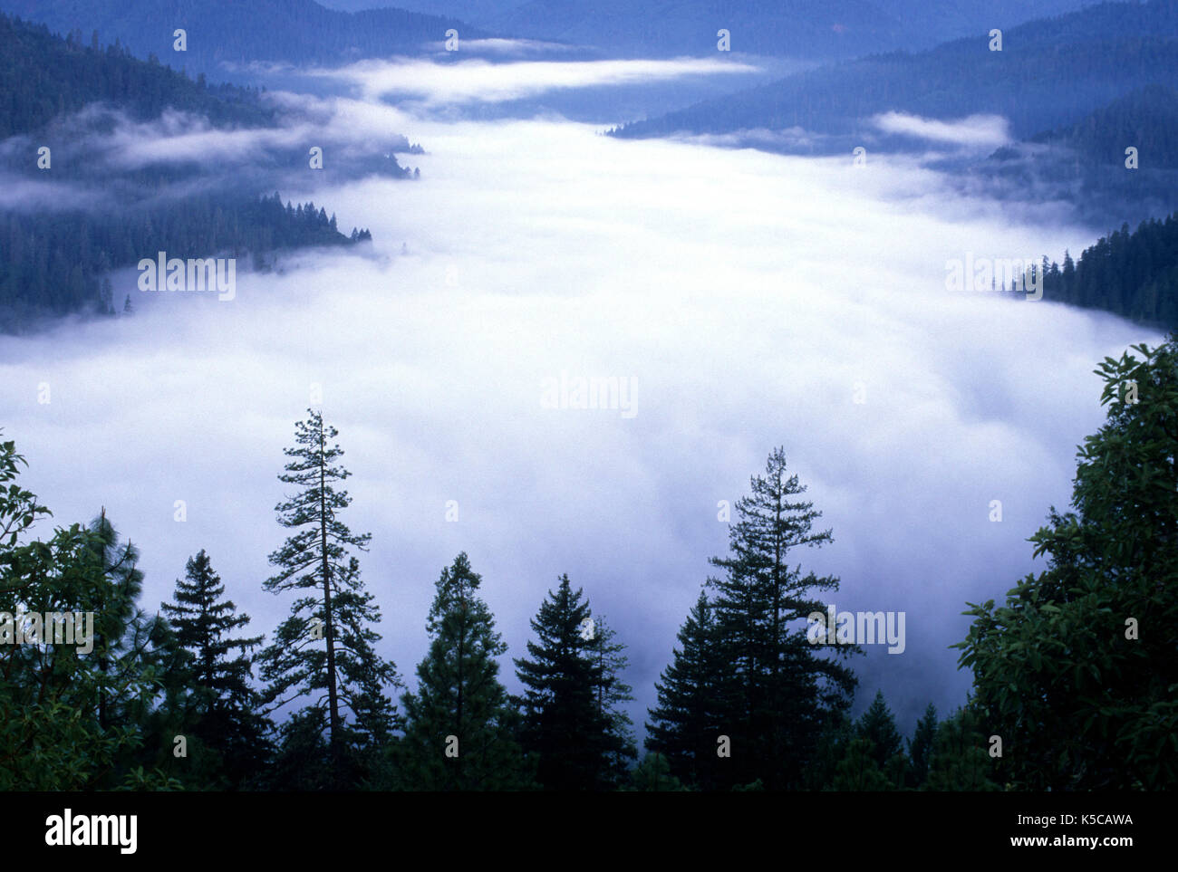 Fog over Rogue Wild & Scenic River, Grave Creek to Marial National Back ...