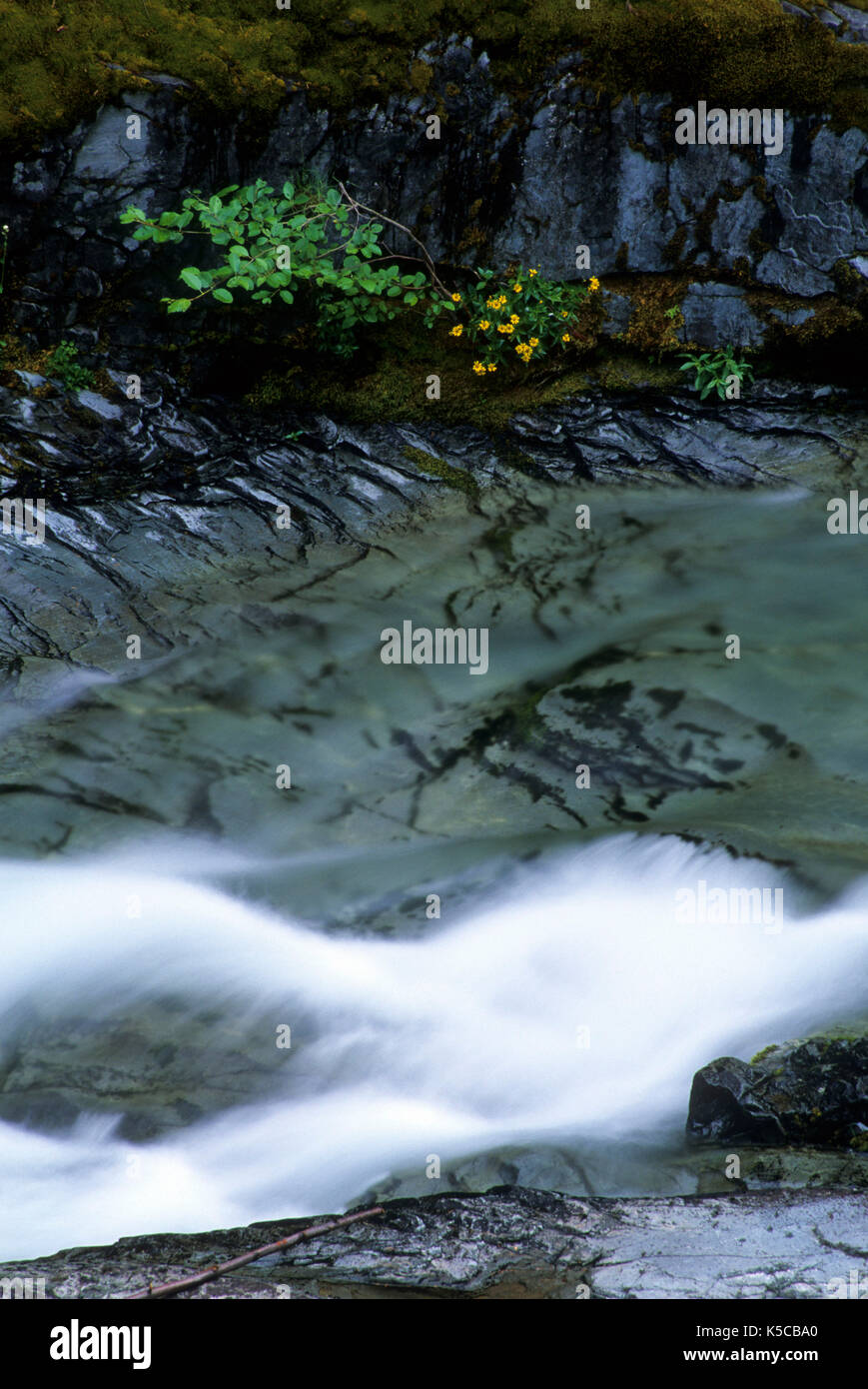 Quartzville Creek Wild & Scenic River, Quartzville National Back ...