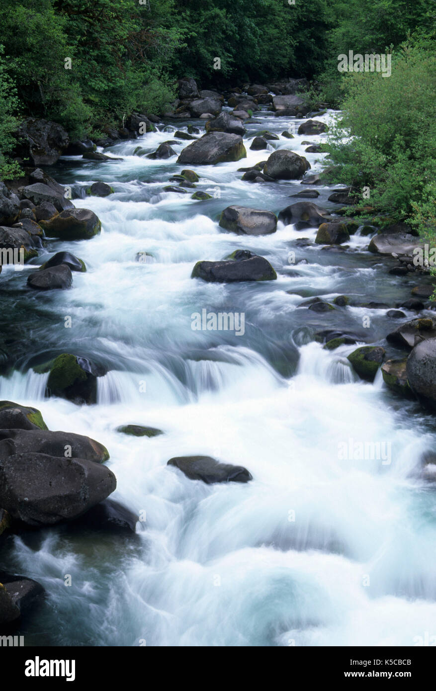 Aufderheide national scenic byway hi-res stock photography and images ...