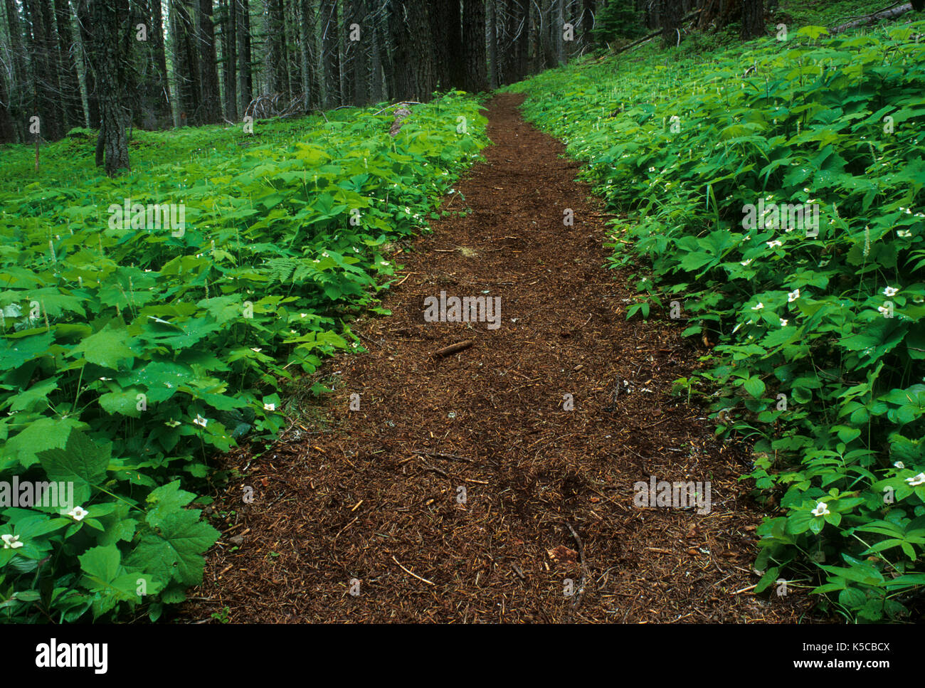 Erma bell trail hi-res stock photography and images - Alamy