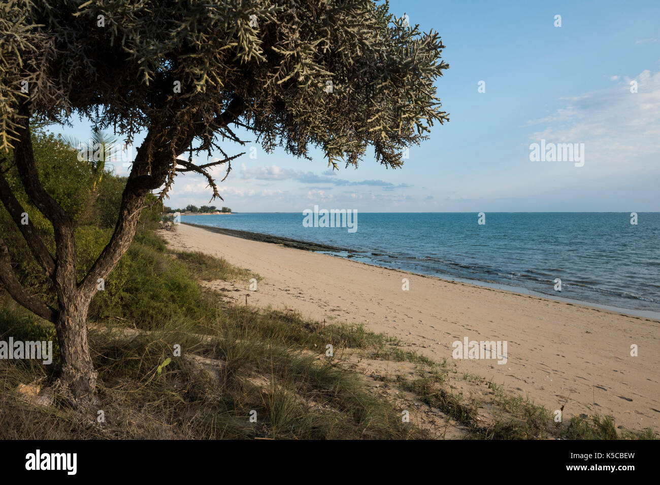 Beach, Ifaty, Madagascar Stock Photo - Alamy