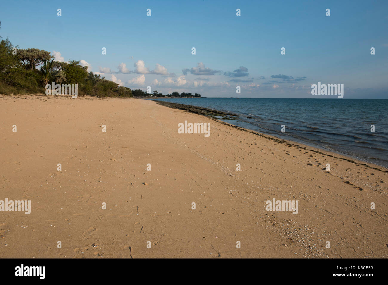 Beach, Ifaty, Madagascar Stock Photo - Alamy