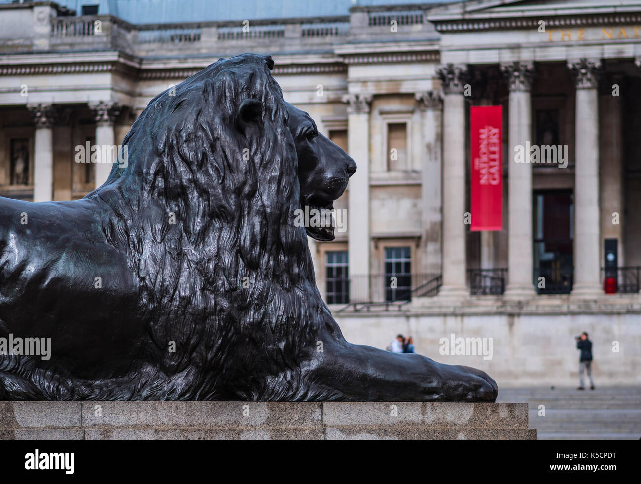 The famous lions at Trafalgar Square London Stock Photo - Alamy