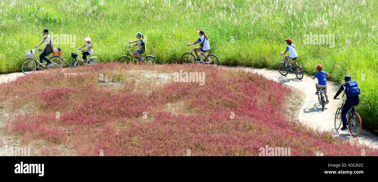 Black friends biking hi-res stock photography and images - Alamy
