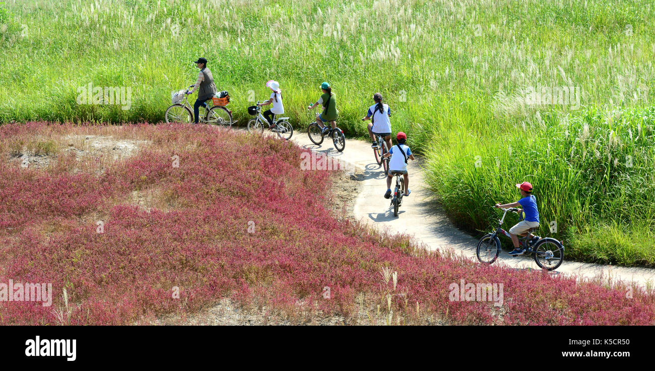 Group of friends on bikes Stock Photo - Alamy