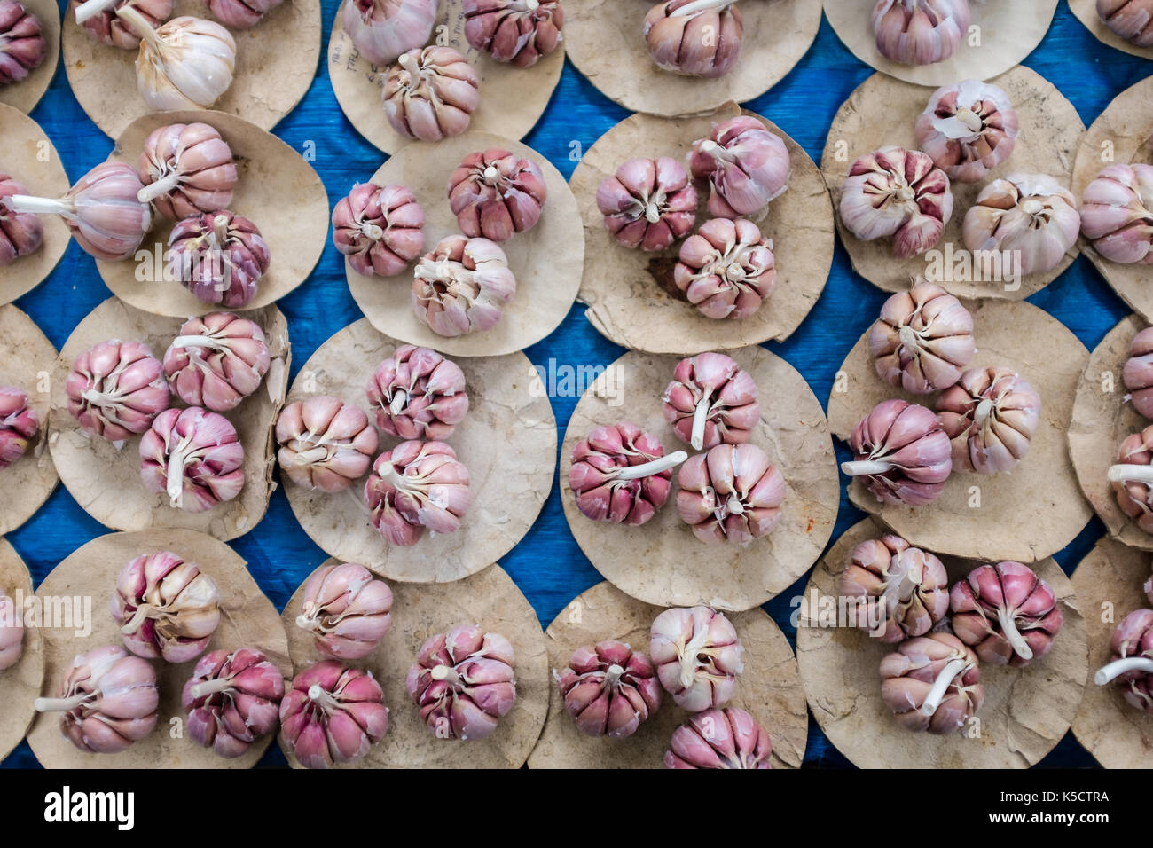 Garlic composition hi-res stock photography and images - Alamy
