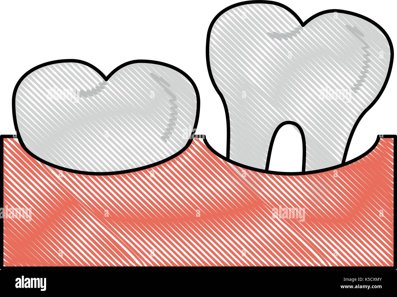 Healthy human teeths Stock Vector Image & Art - Alamy