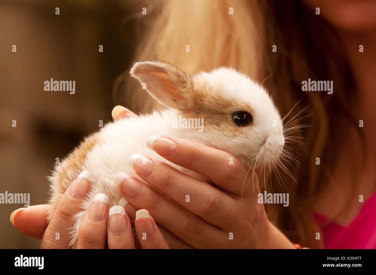 Bunny baby holding bunny hi-res stock photography and images - Alamy