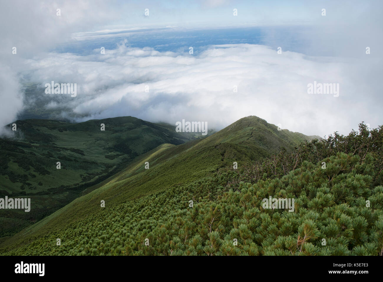 Above the clouds on Mount Rishiri, Rishiri Island, Hokkaido, Japan ...
