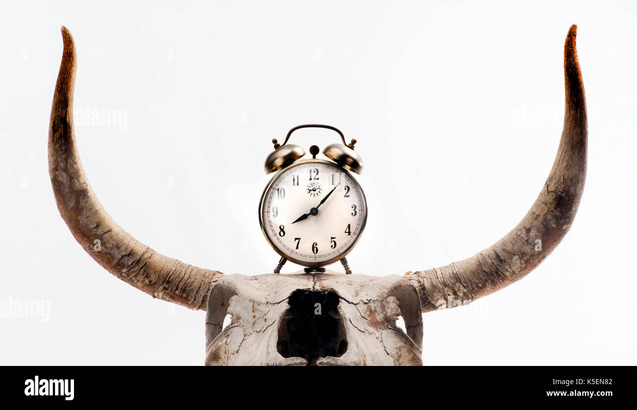Skeleton clock hi-res stock photography and images - Alamy