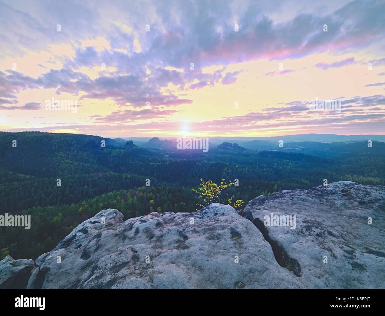 Spring morning nature. The cracked sandstone cliff above forest valley ...