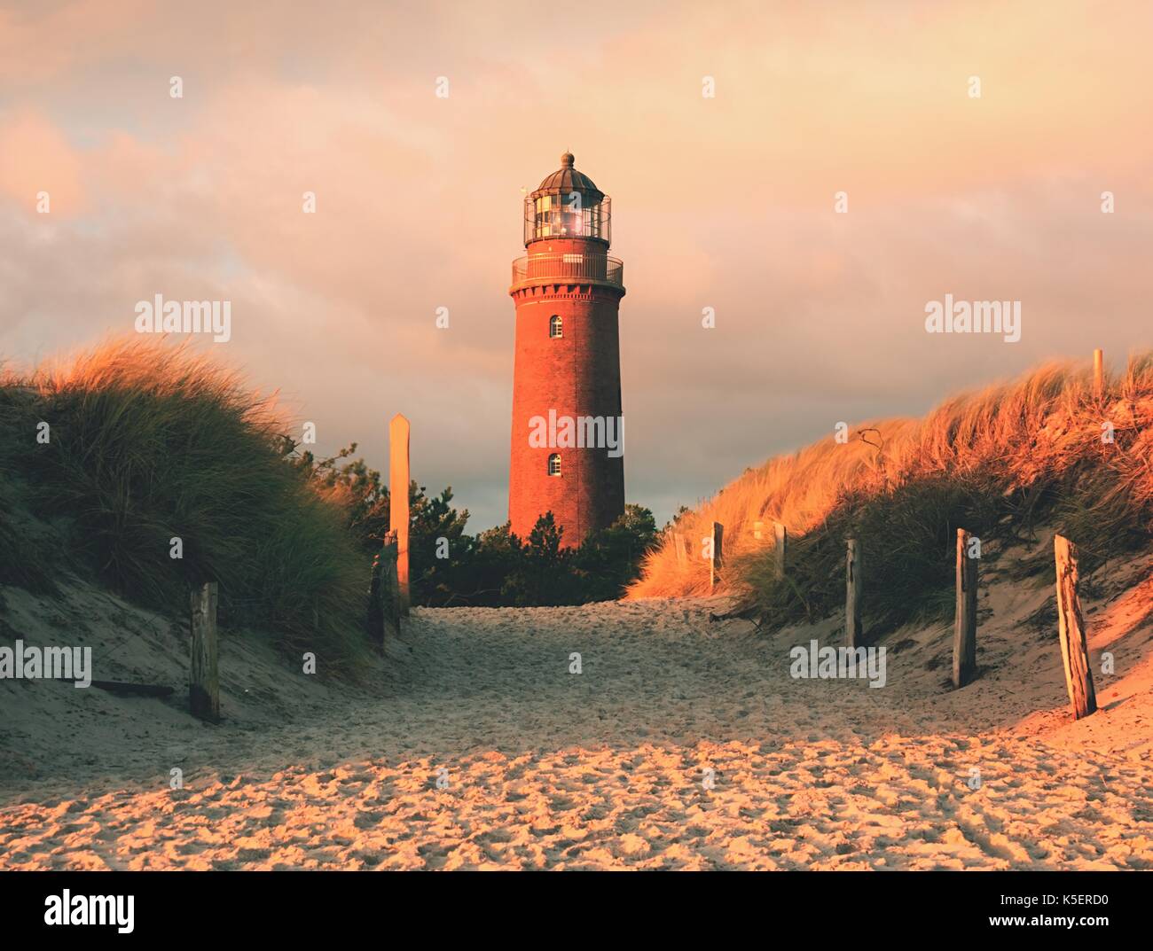 Historical lighthouse. Shinning lighthouse, dunes and pine tree. Tower ...