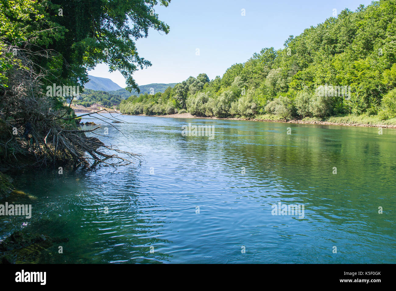 River Drina in Serbia Stock Photo - Alamy