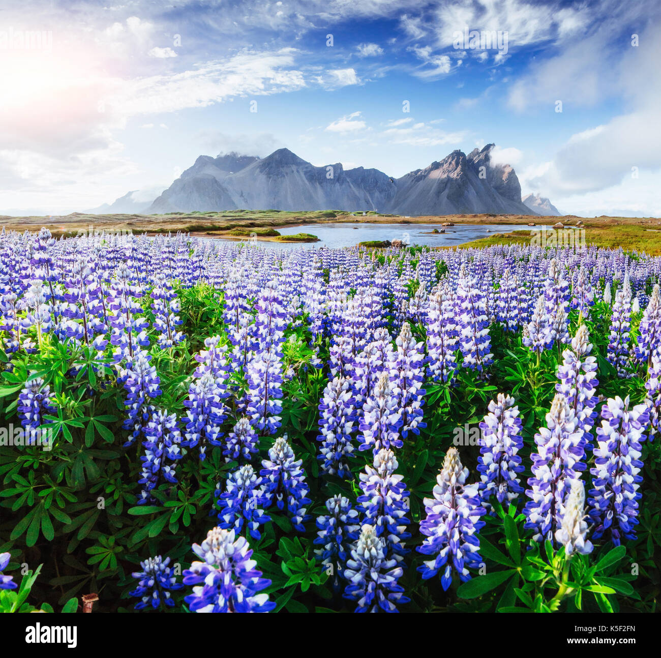 Picturesque views of the river and mountains in Iceland Stock Photo - Alamy