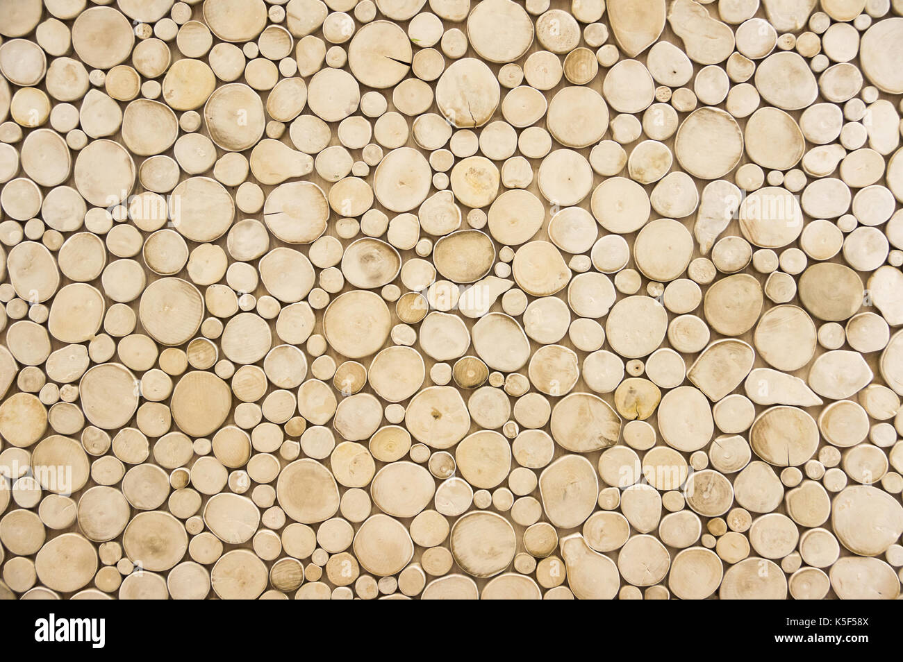 Circular Wood Texture Background Stock Photos & Circular Wood Texture ...